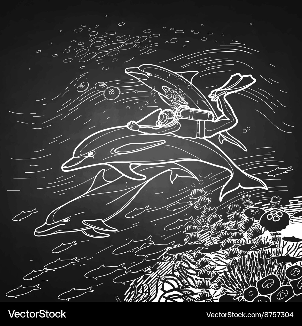 Graphic scuba diver riding the dolphin Royalty Free Vector