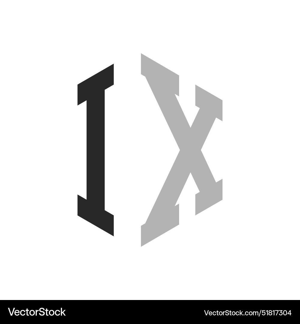 Modern unique hexagon letter ix logo design Vector Image