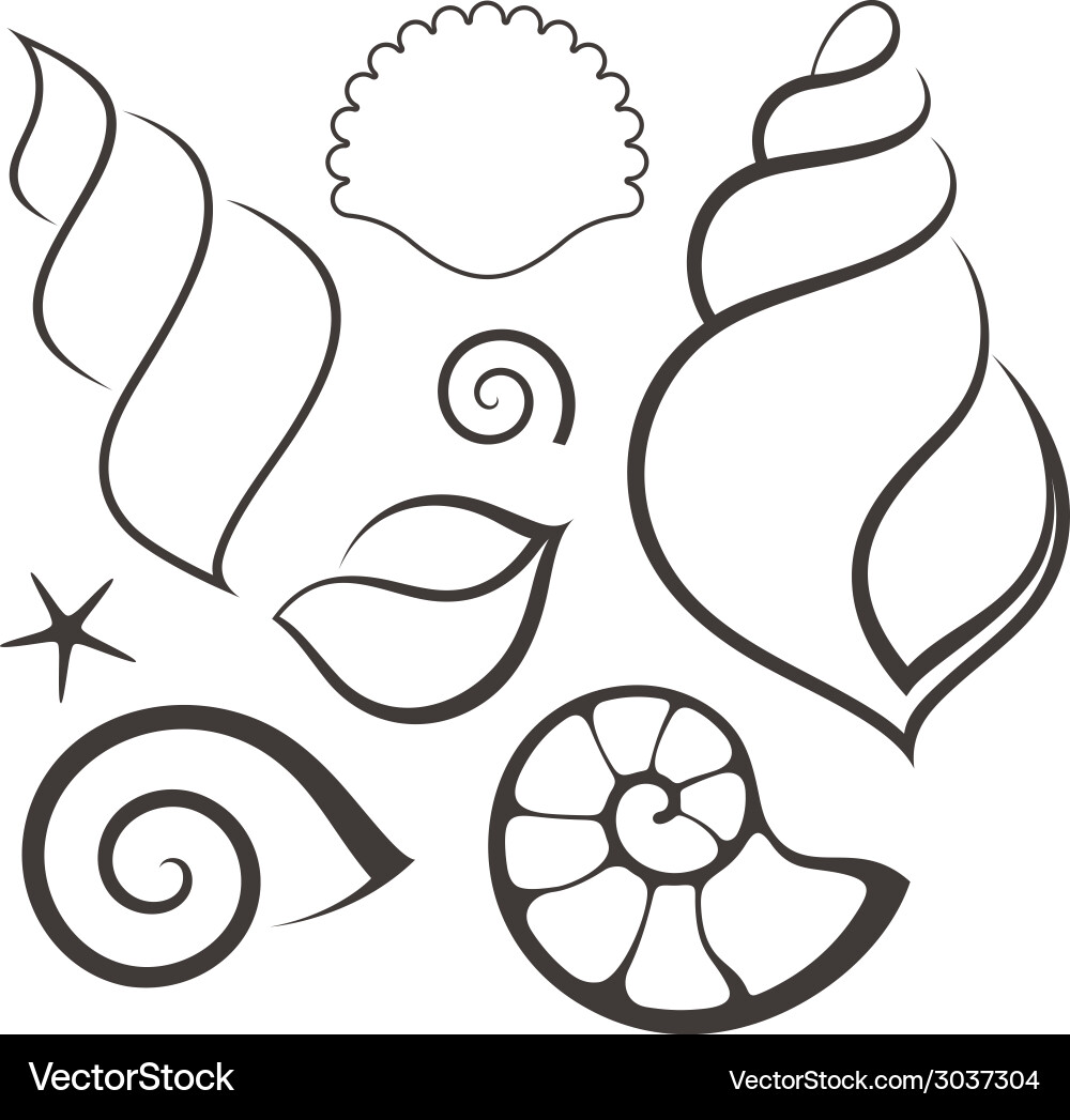 Shell set Royalty Free Vector Image - VectorStock