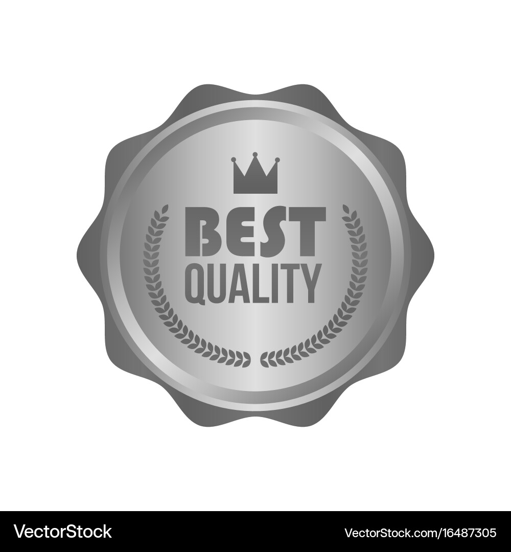 High quality metal silver sign round label Vector Image
