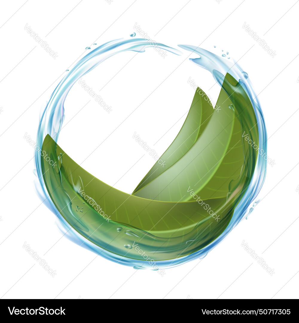 Water splash with green leaves inside Royalty Free Vector