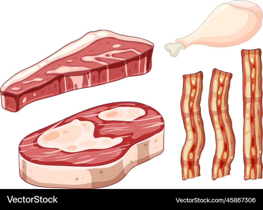 Different kinds of meat collection Royalty Free Vector Image