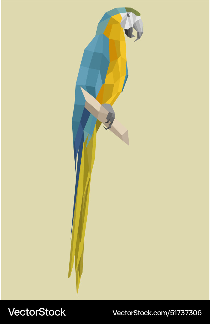 Parrot Royalty Free Vector Image - VectorStock