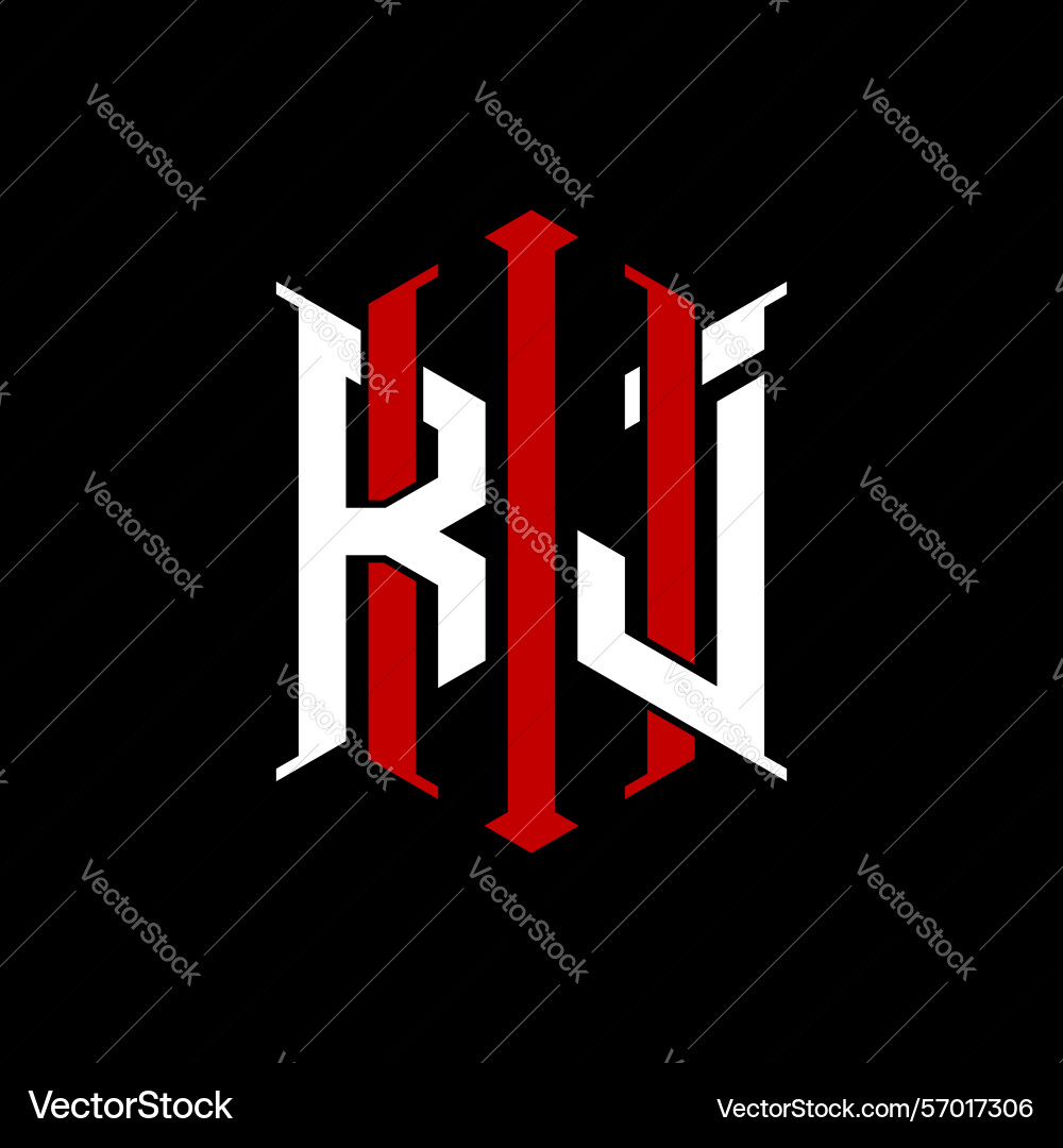 Rj initial geometric monogram logo elegant Vector Image