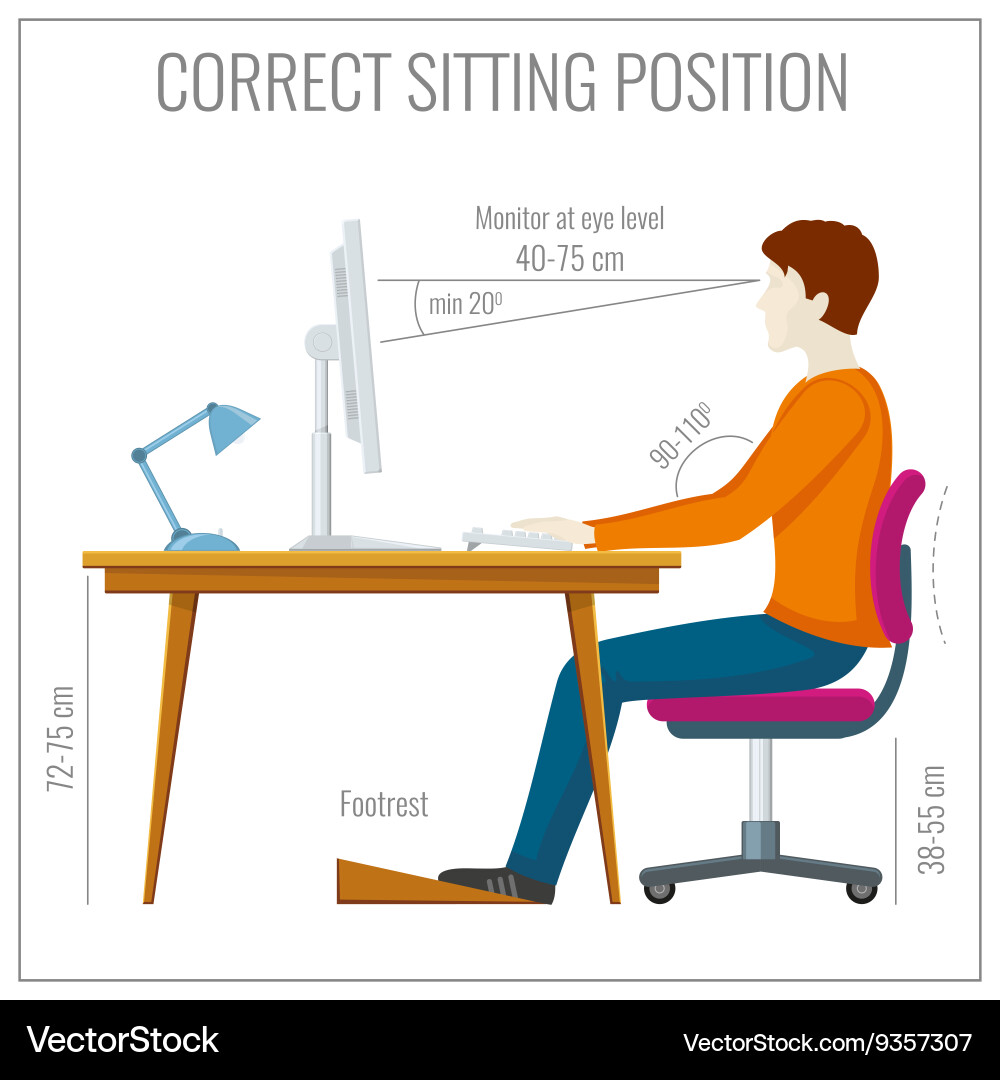 Proper Sitting Posture - Health & Ergonomics Vector Image