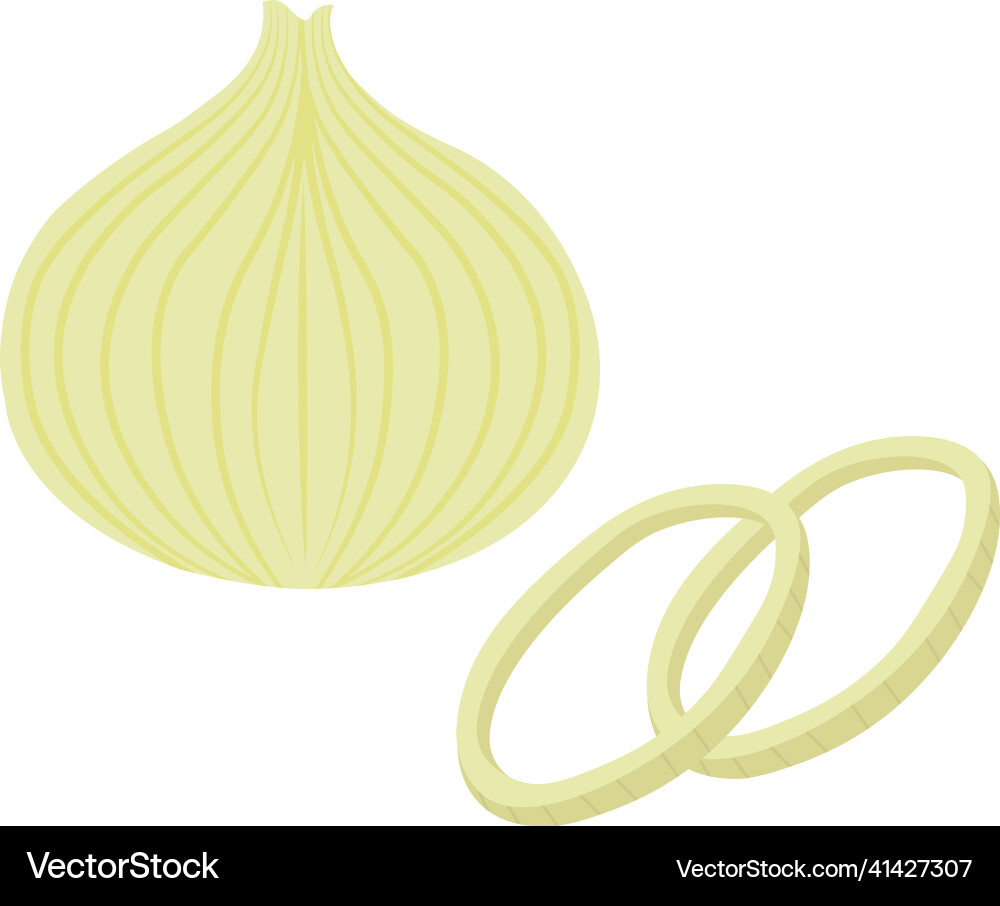 Sliced onion chopped vegetable cooking meals Vector Image