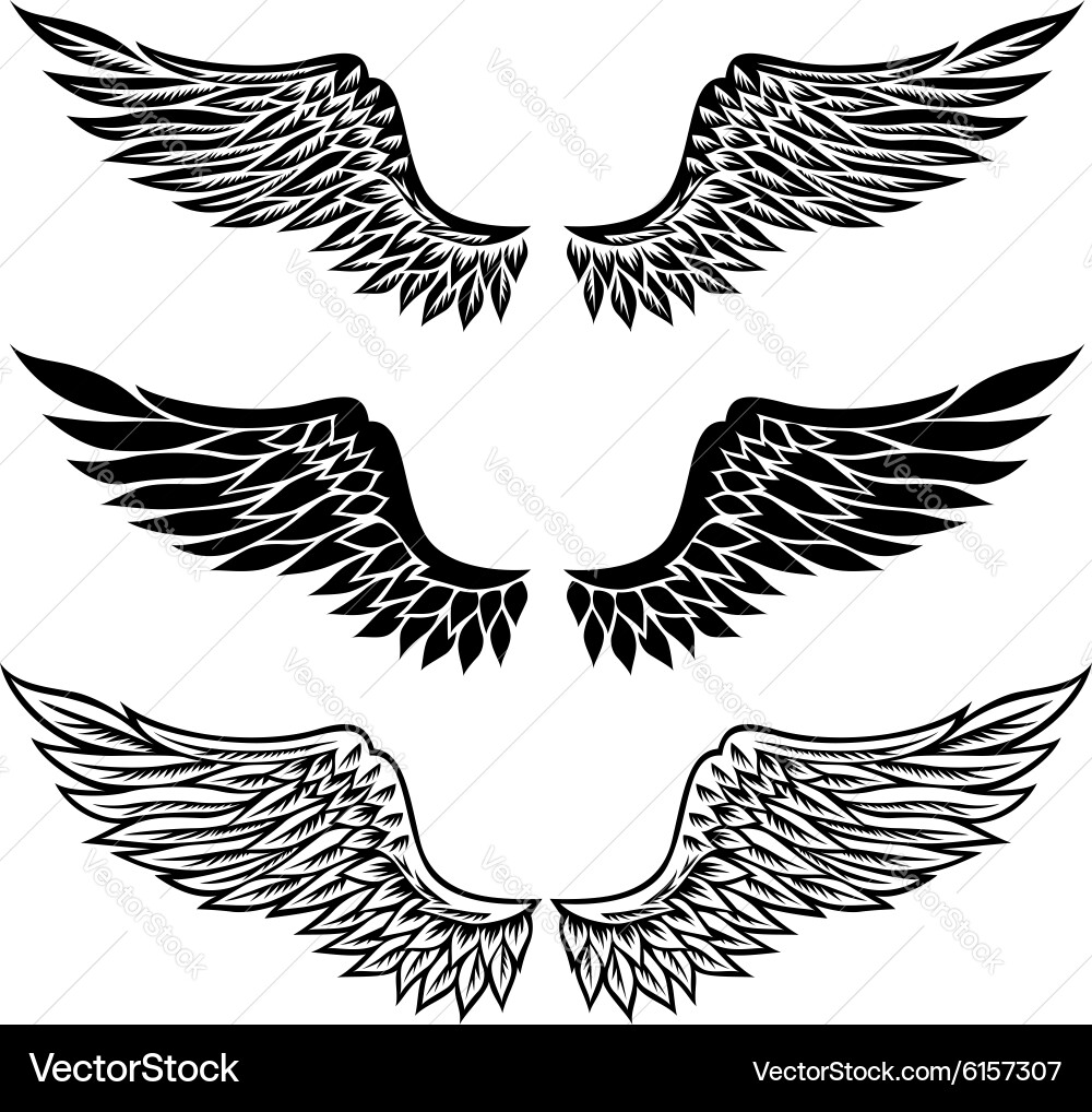 Wings Royalty Free Vector Image - VectorStock