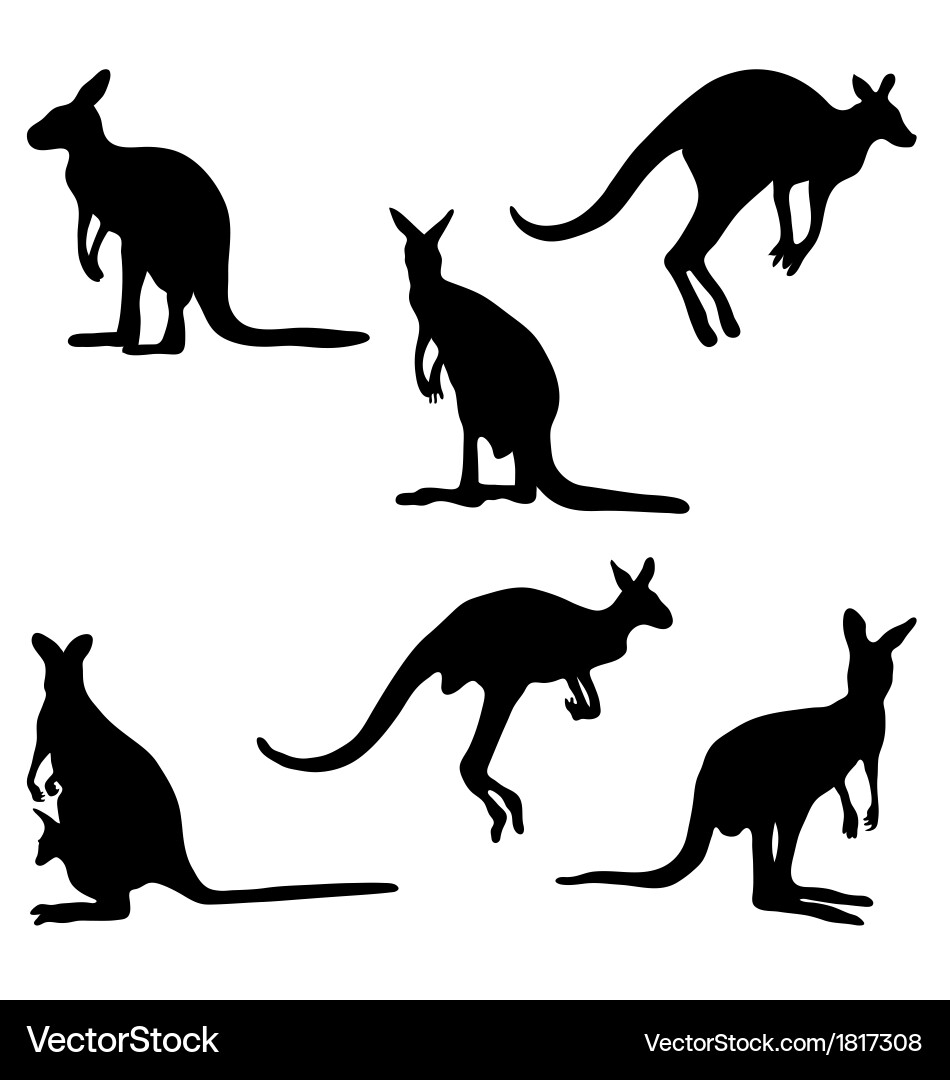 Kangaroo Vector Images (over 15,000)