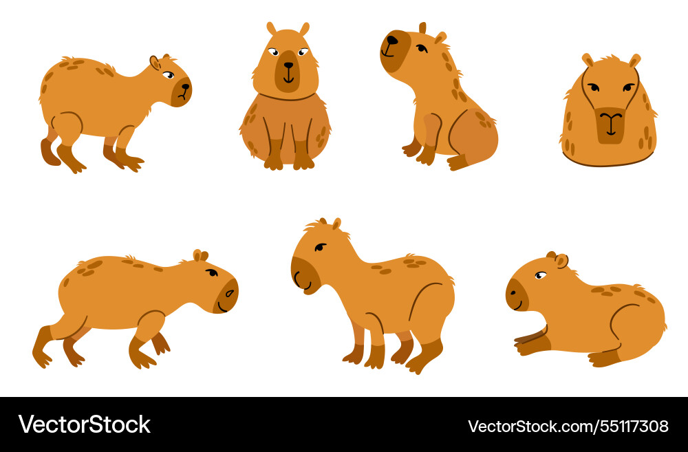 Set of hand drawn capybara Royalty Free Vector Image