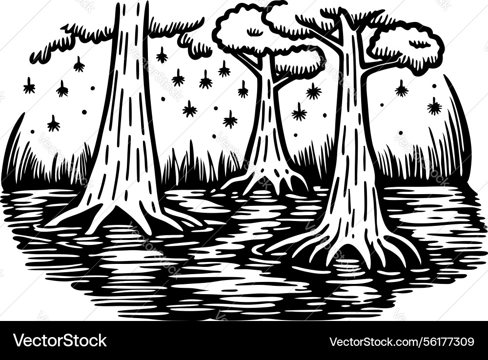 Intricate black and white swamp with cypress Vector Image