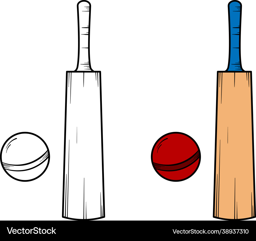 Cricket hand drawn sketch and color Royalty Free Vector