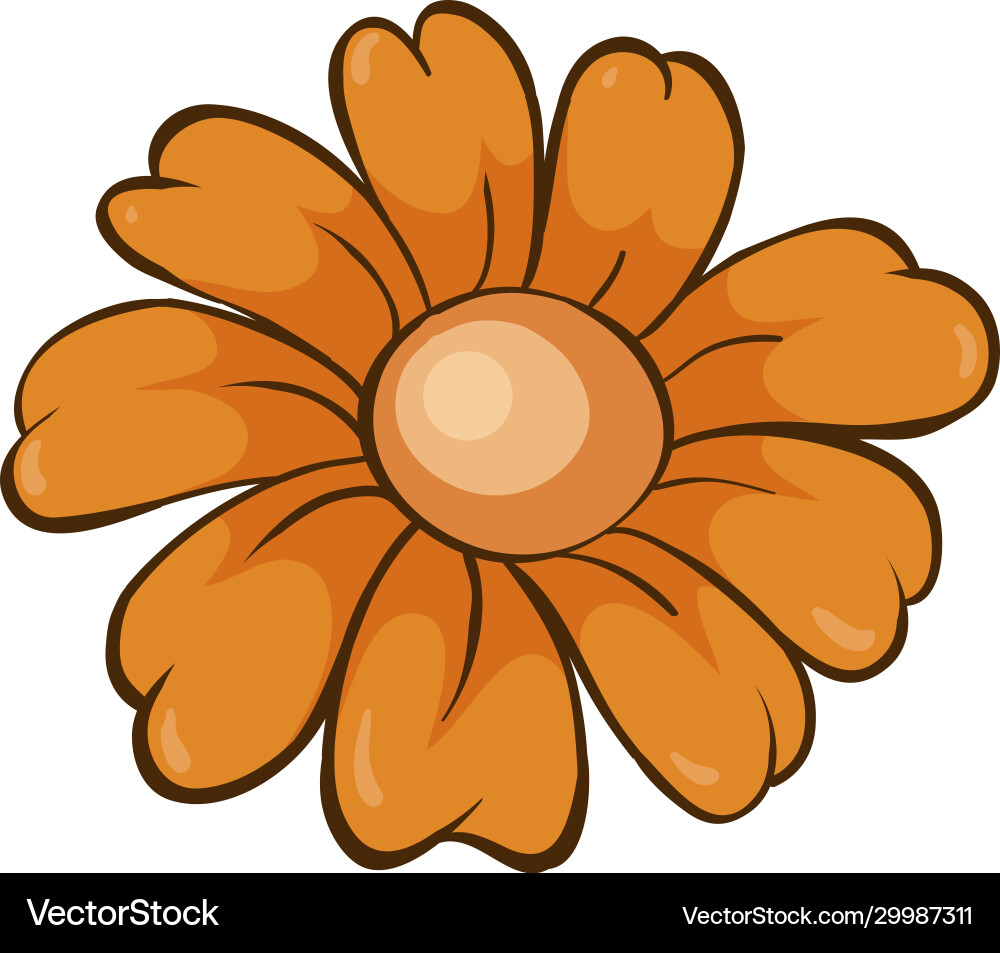Single flower in orange color Royalty Free Vector Image