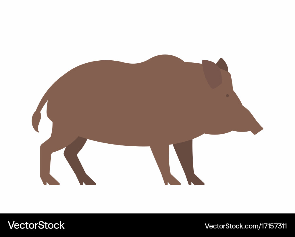 Wild boar Royalty Free Vector Image - VectorStock