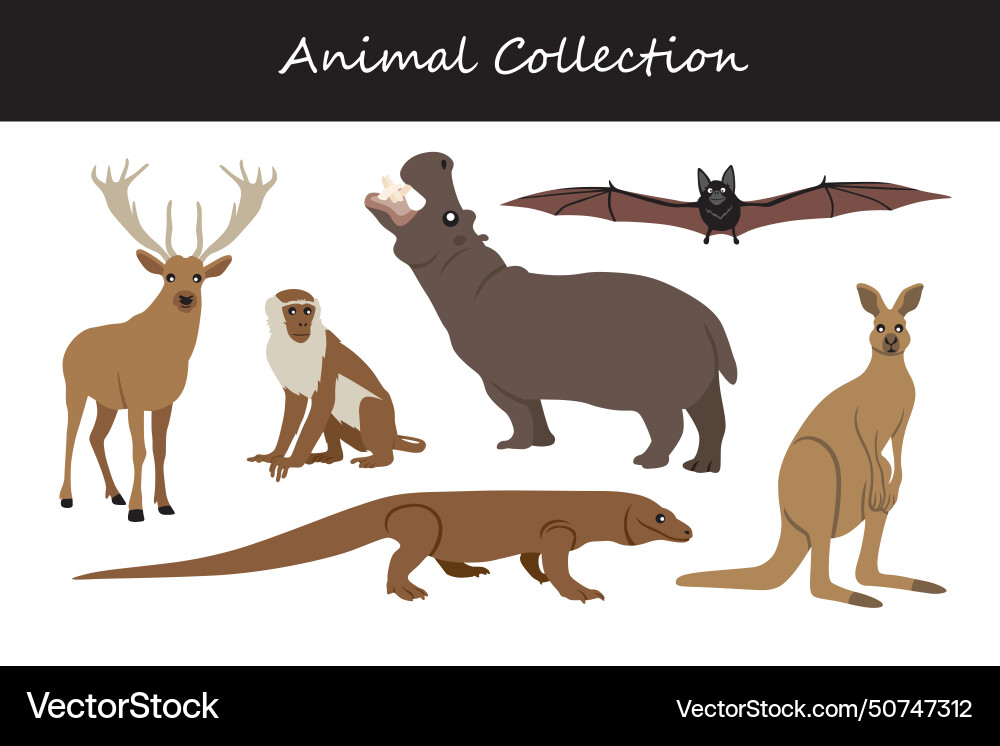 Animals collection isolated on white background Vector Image