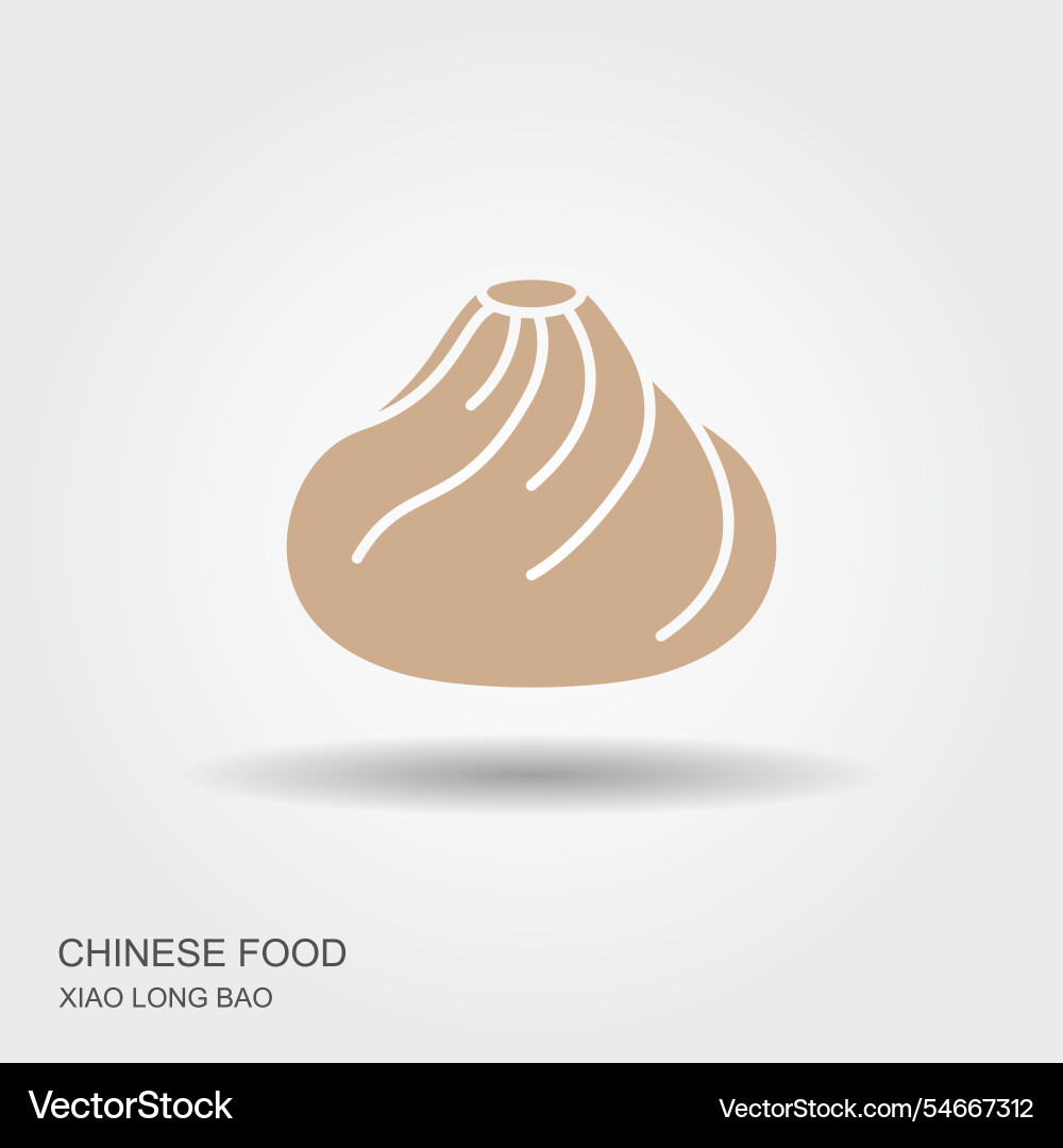 Chinese xiao long bao or steamed dumpling Vector Image