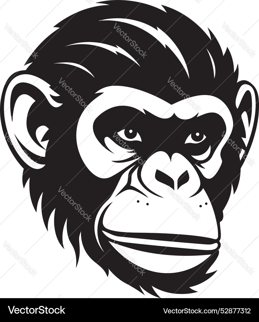 Majestic primate black chimpanzee icon graceful Vector Image