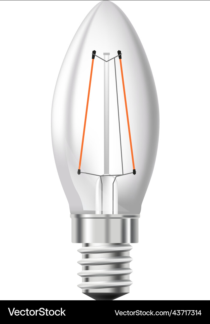 Candle light bulb incandescent illumination type Vector Image