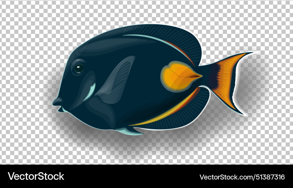 Tang Fish Vector Images (over 850)