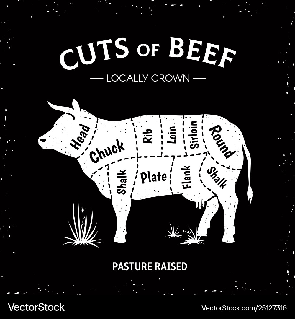 Butcher cow poster white beef diagram Royalty Free Vector
