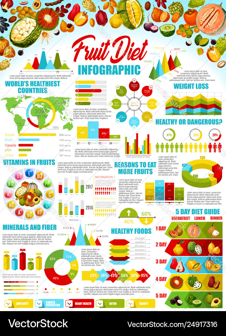 Fruits and berries infographic with charts map Vector Image