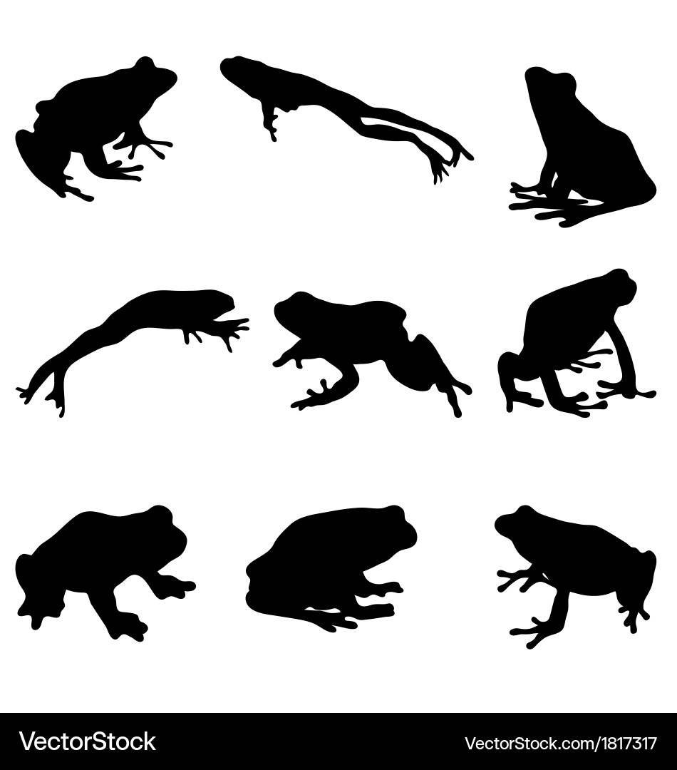 Frog Outline Vector Images (over 3,500)