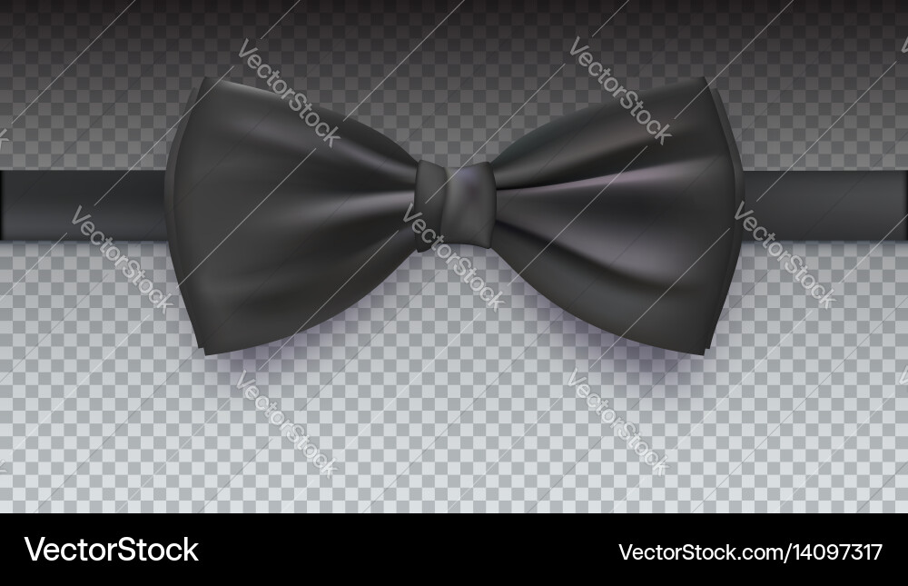 Realistic black bow tie Royalty Free Vector Image