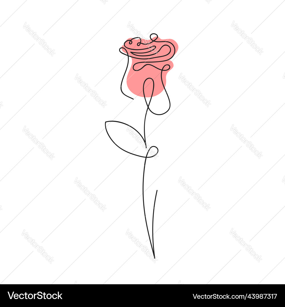 Single Line Rose Flower Royalty Free Vector Image