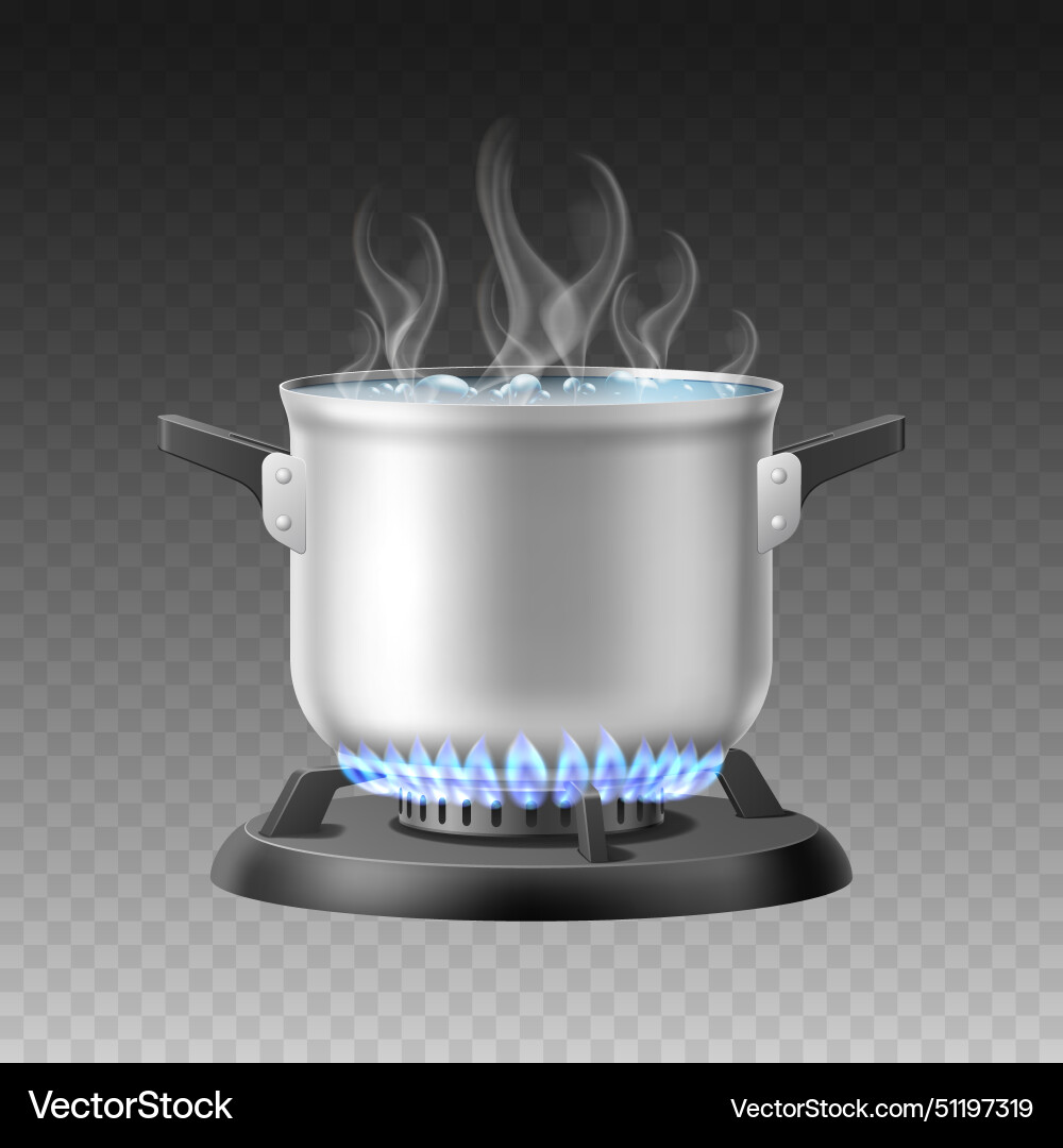 Realistic cooking boiling water heated steel pot Vector Image