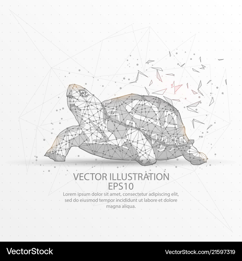 Turtle Connect Dot Vector Images (51)