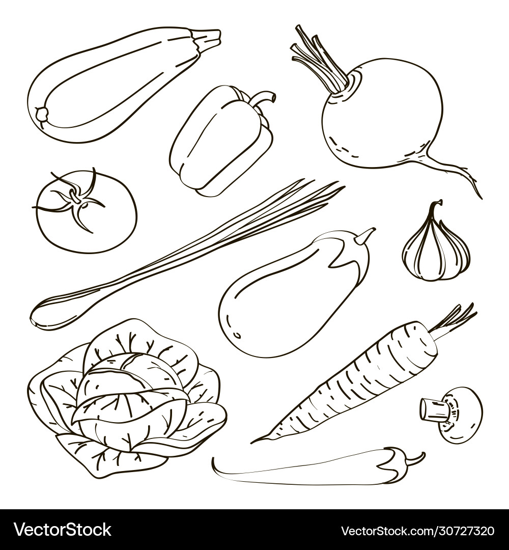 Mixed vegetable - isolated set Royalty Free Vector Image