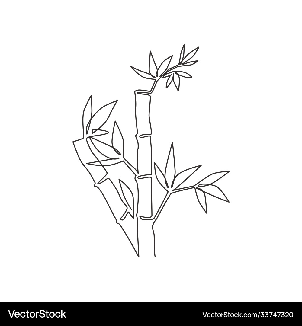 Single continuous line drawing bamboo trees Vector Image