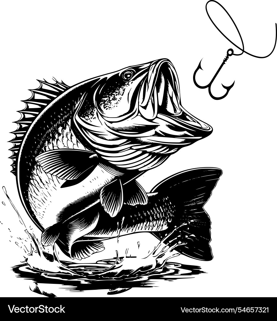 Bass Fishing Artwork - Black & White Vector Image