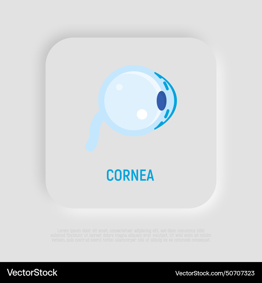 Cornea flat icon structure of human eye Royalty Free Vector