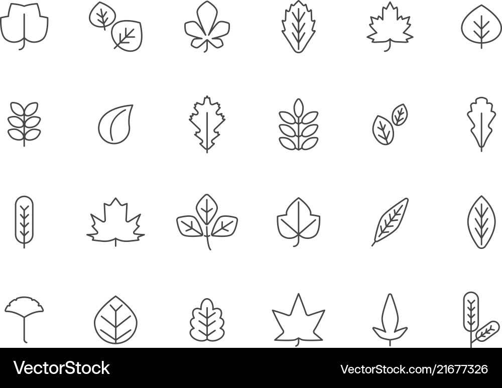 Linear autumn leaves leaf of line set Royalty Free Vector