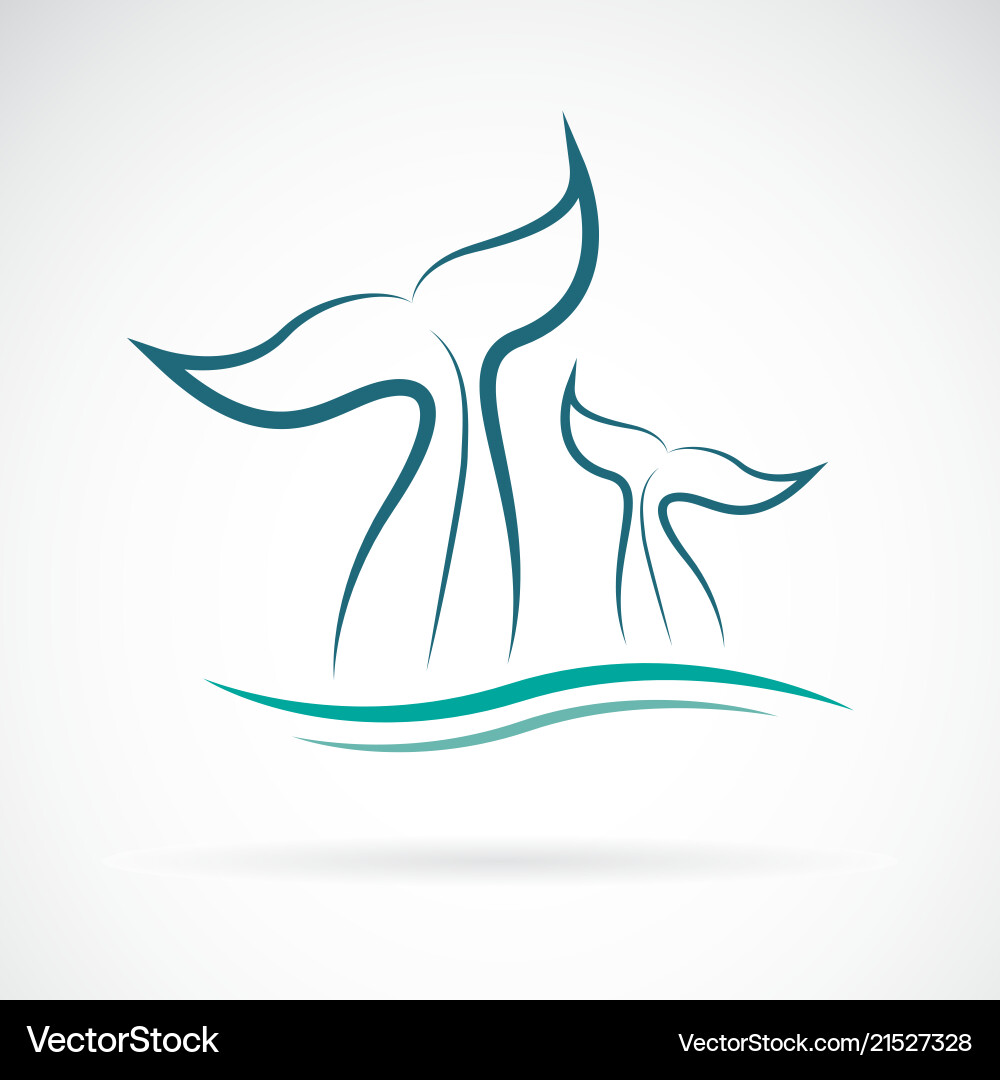 Whale tail design on white background animals sea Vector Image