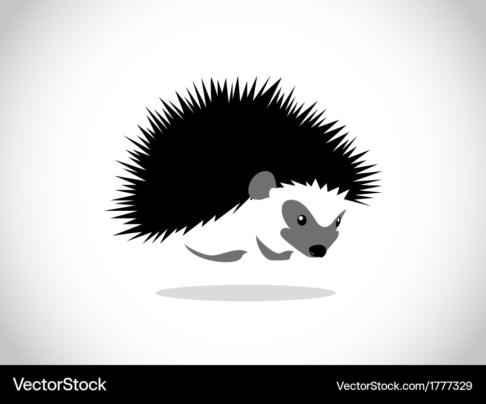 Hedgehog 2 Royalty Free Vector Image - VectorStock