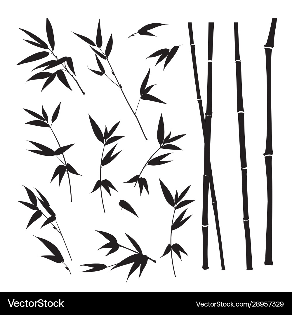 Set tropical bamboo elements collection Royalty Free Vector
