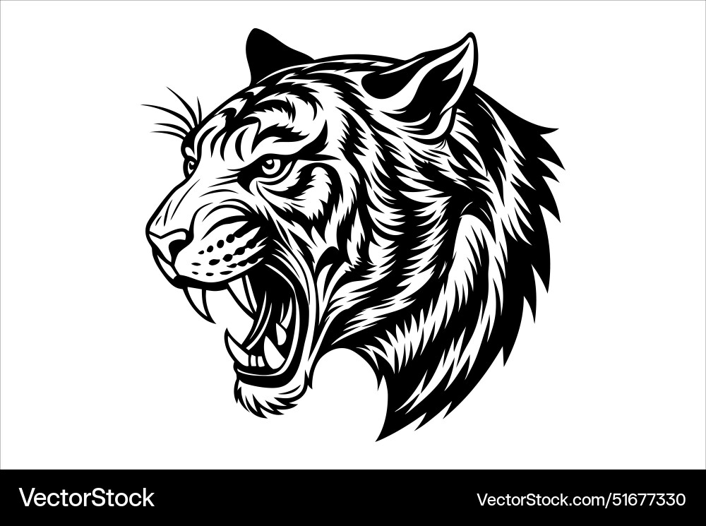 Angry tiger head Royalty Free Vector Image - VectorStock