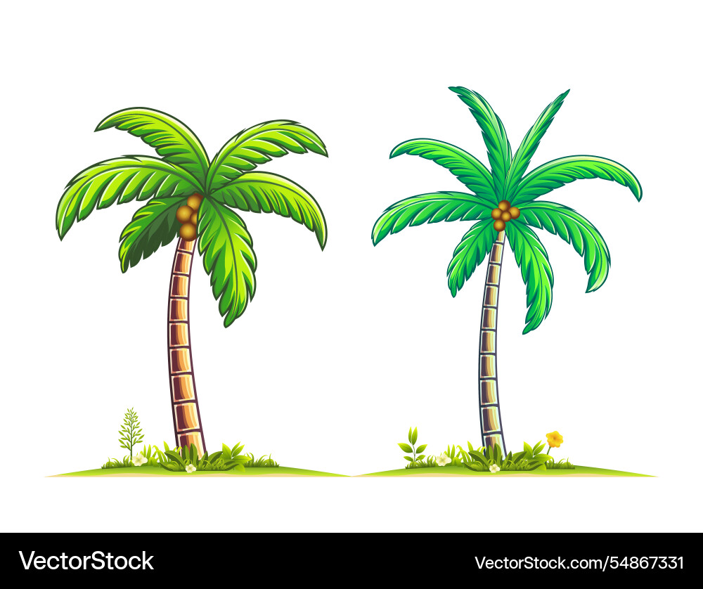 Hand drawn palm trees Royalty Free Vector Image