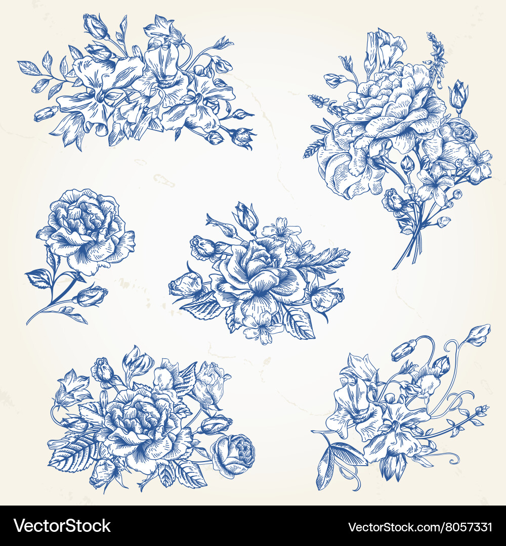 Set of floral design elements Royalty Free Vector Image
