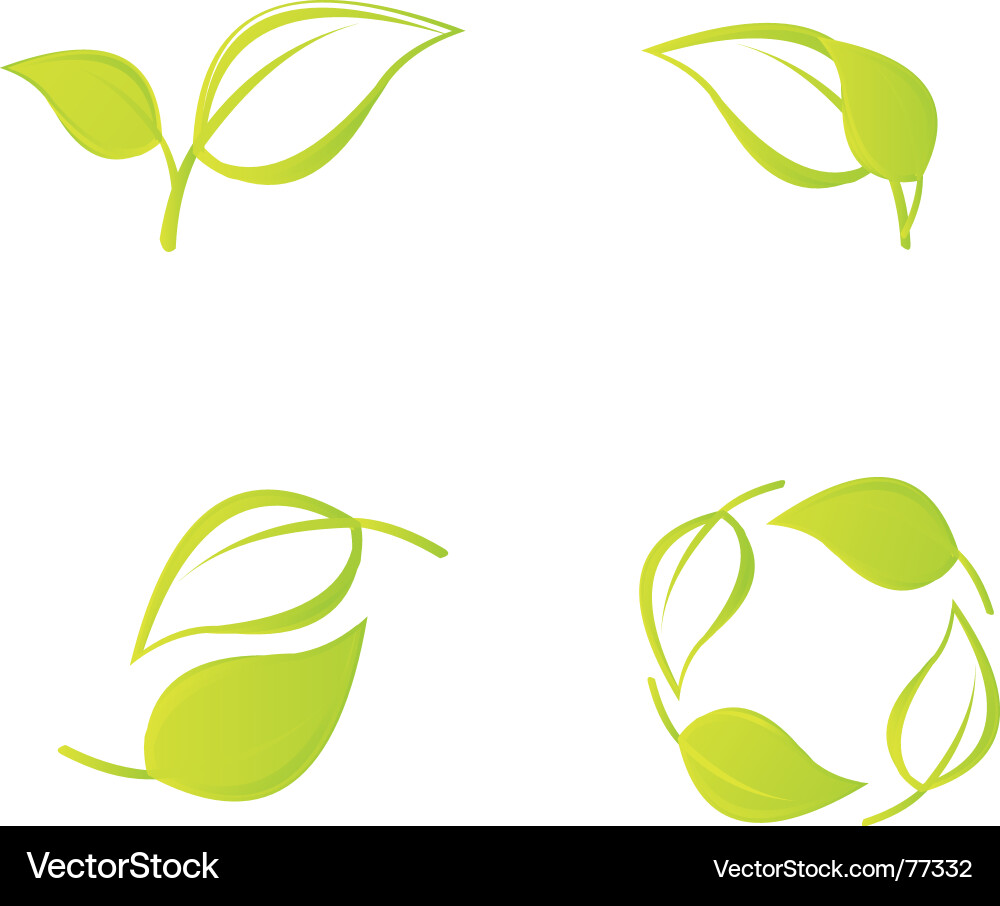 Green leaf Royalty Free Vector Image - VectorStock