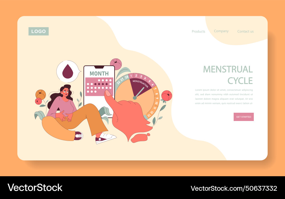 Menstrual cycle concept Royalty Free Vector Image