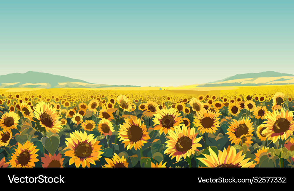 Rustic sunflower field landscape yellow flower Vector Image