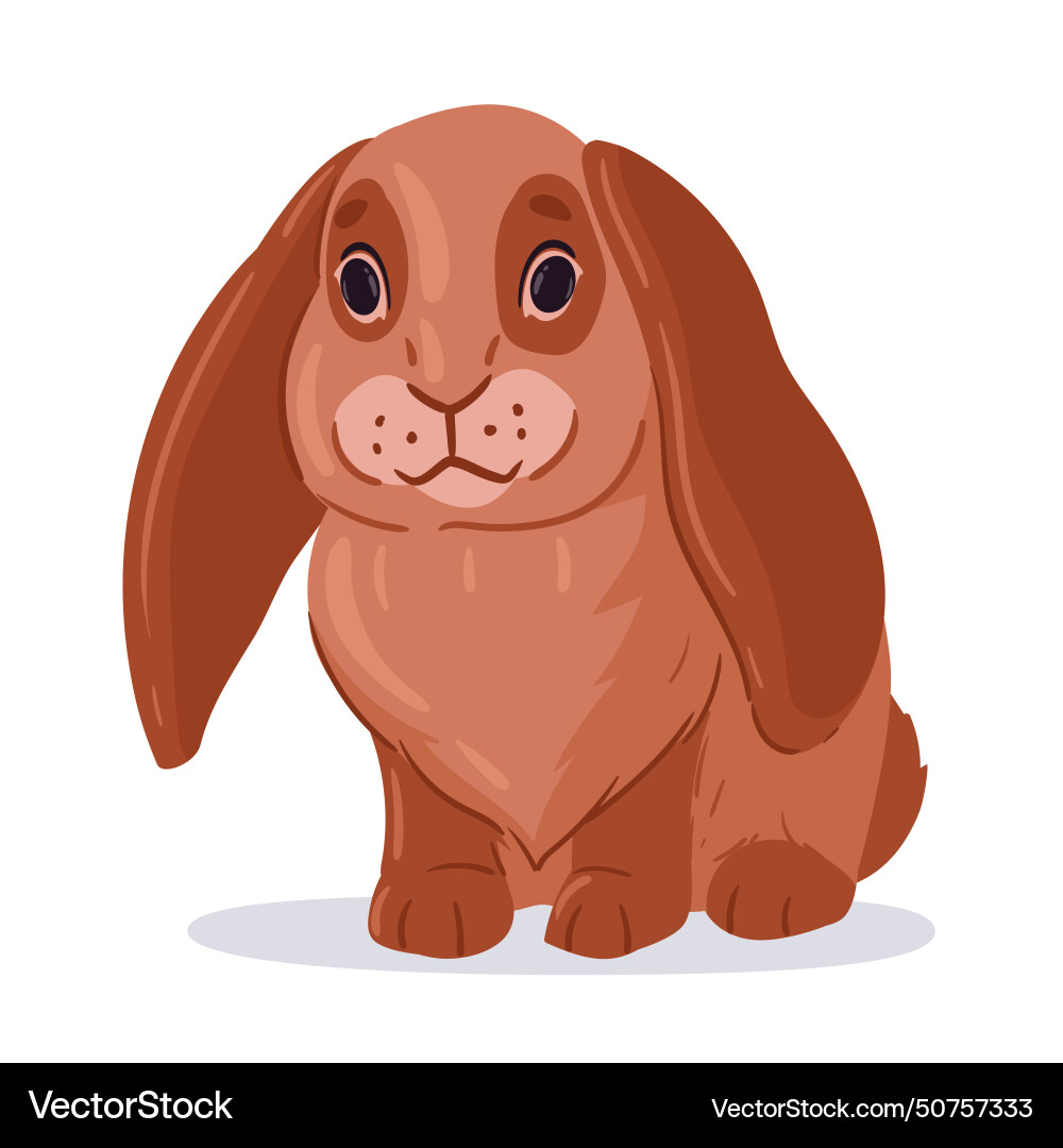 Easter bunny cute lop-eared rabbit eared Vector Image