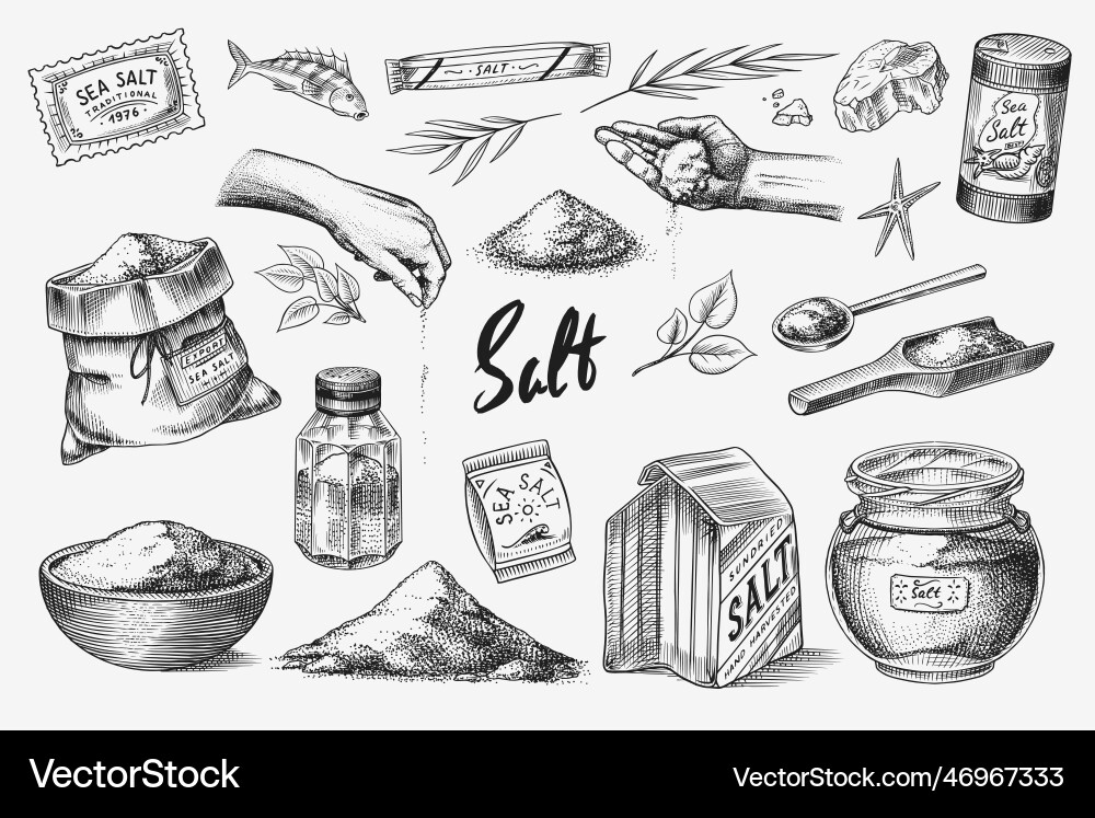 Sea Salt Collection - Bottles & Spices Vector Image