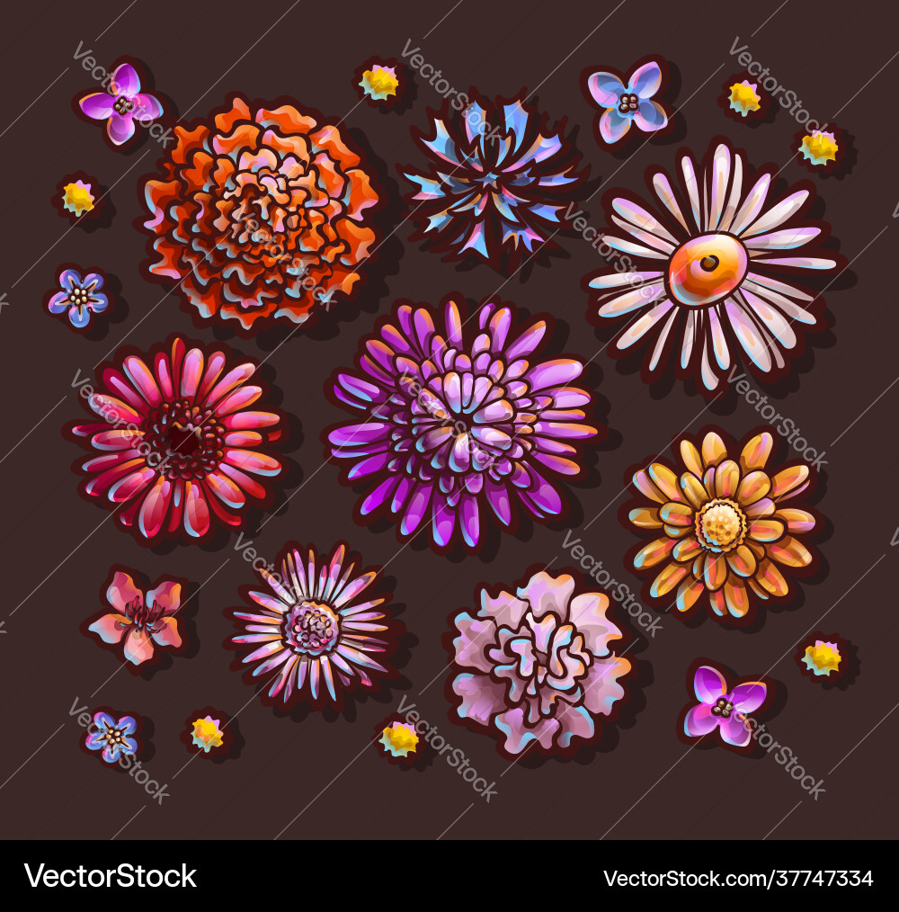 Colorful Flower Buds Top View Royalty Free Vector Image