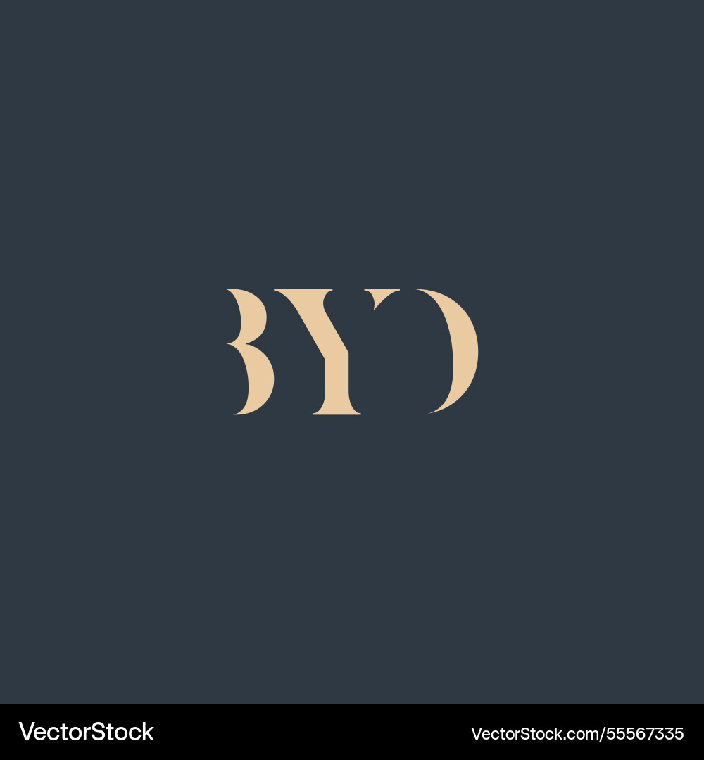 Byd abstract letter logo Royalty Free Vector Image