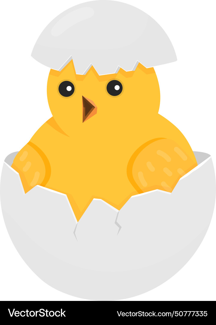 Hatching chick in broken egg chicken birth icon Vector Image