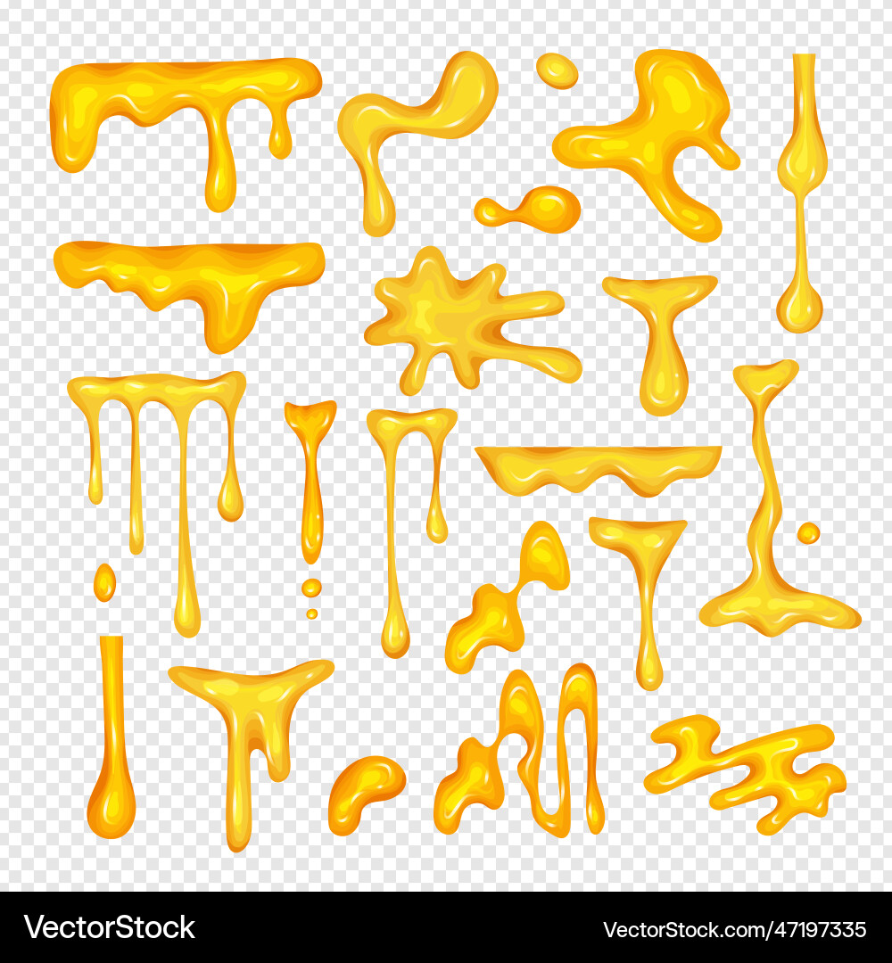 Honey splashes liquid healthy yellow dripping Vector Image