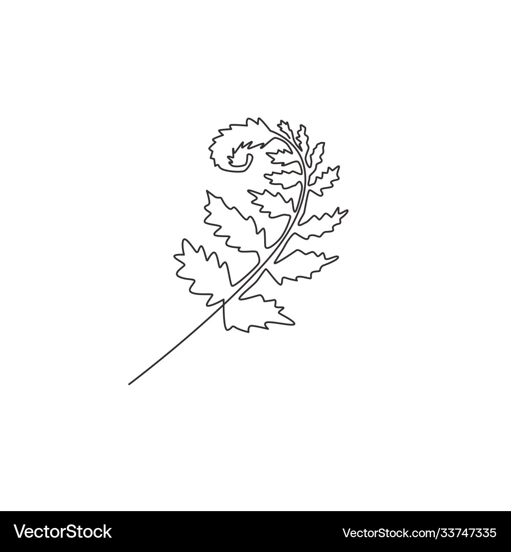 One single line drawing cute tropical fern Vector Image
